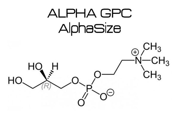 AlphaSize® Alpha-Glyceryl Phosphoryl Choline (A-GPC) - iconicformulations
